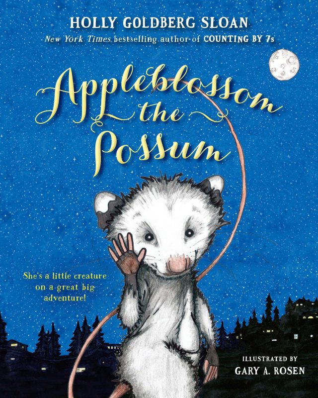 The Best Children’s Picture Books To Read with a Possum Plushie – Funstra