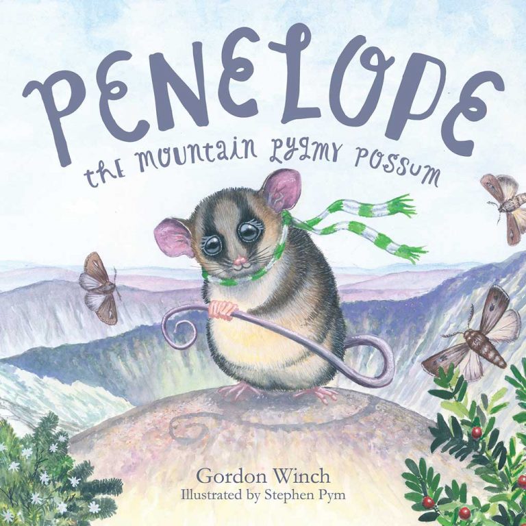 The Best Children’s Picture Books To Read with a Possum Plushie – Funstra