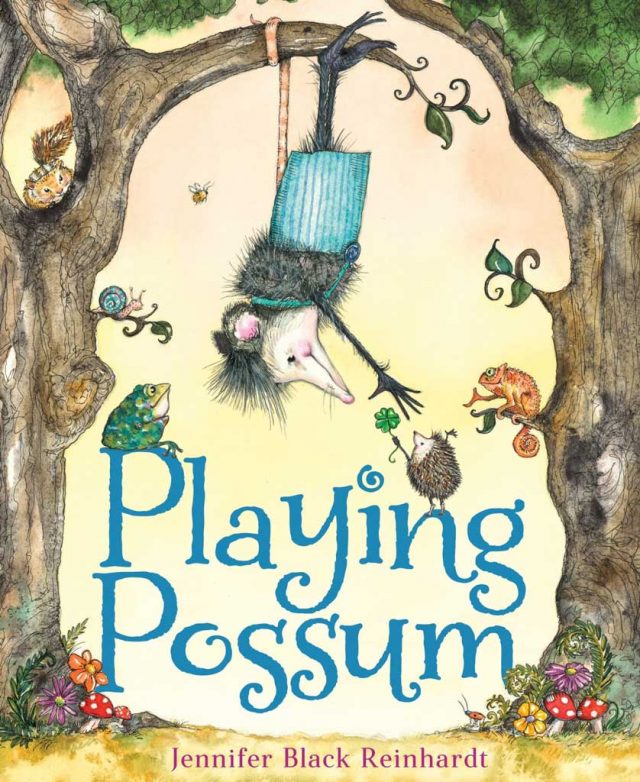 The Best Children’s Picture Books To Read with a Possum Plushie – Funstra