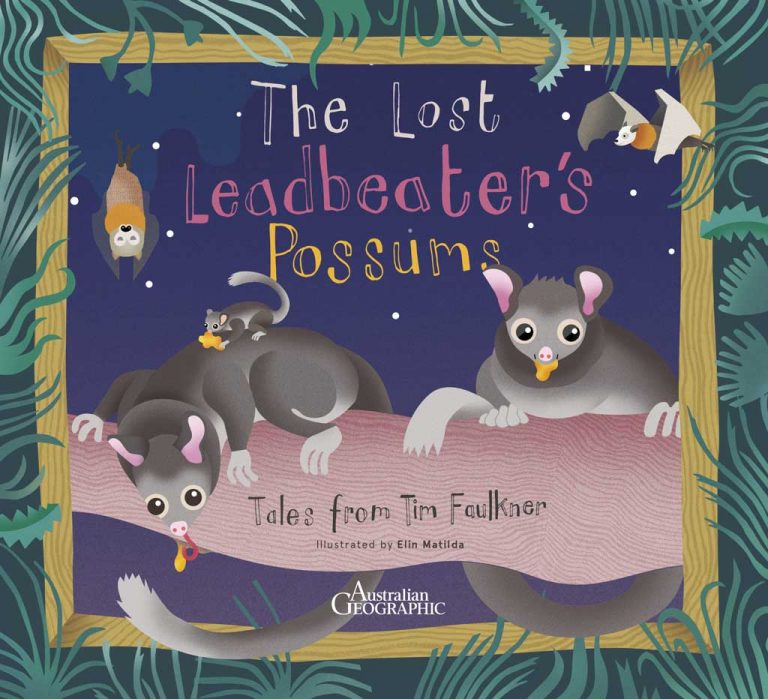 The Best Children’s Picture Books To Read with a Possum Plushie – Funstra